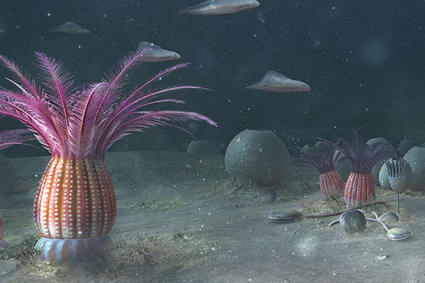 Museum of Natural History extends its popular exhibition First Animals ...