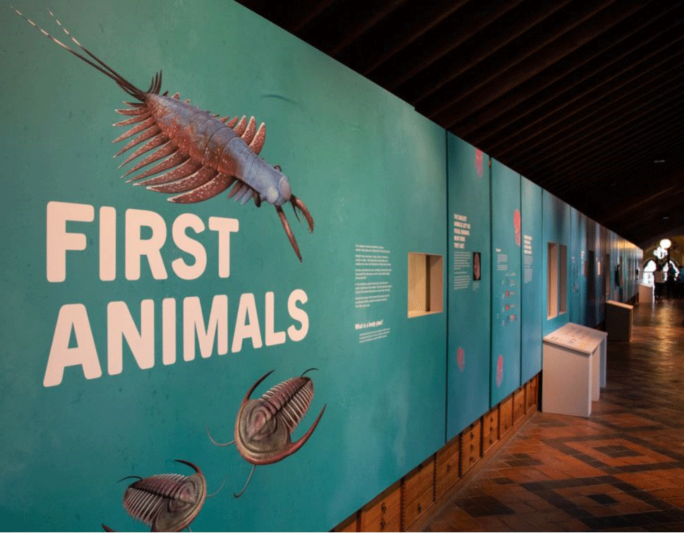 First Animals | Gardens, Libraries & Museums