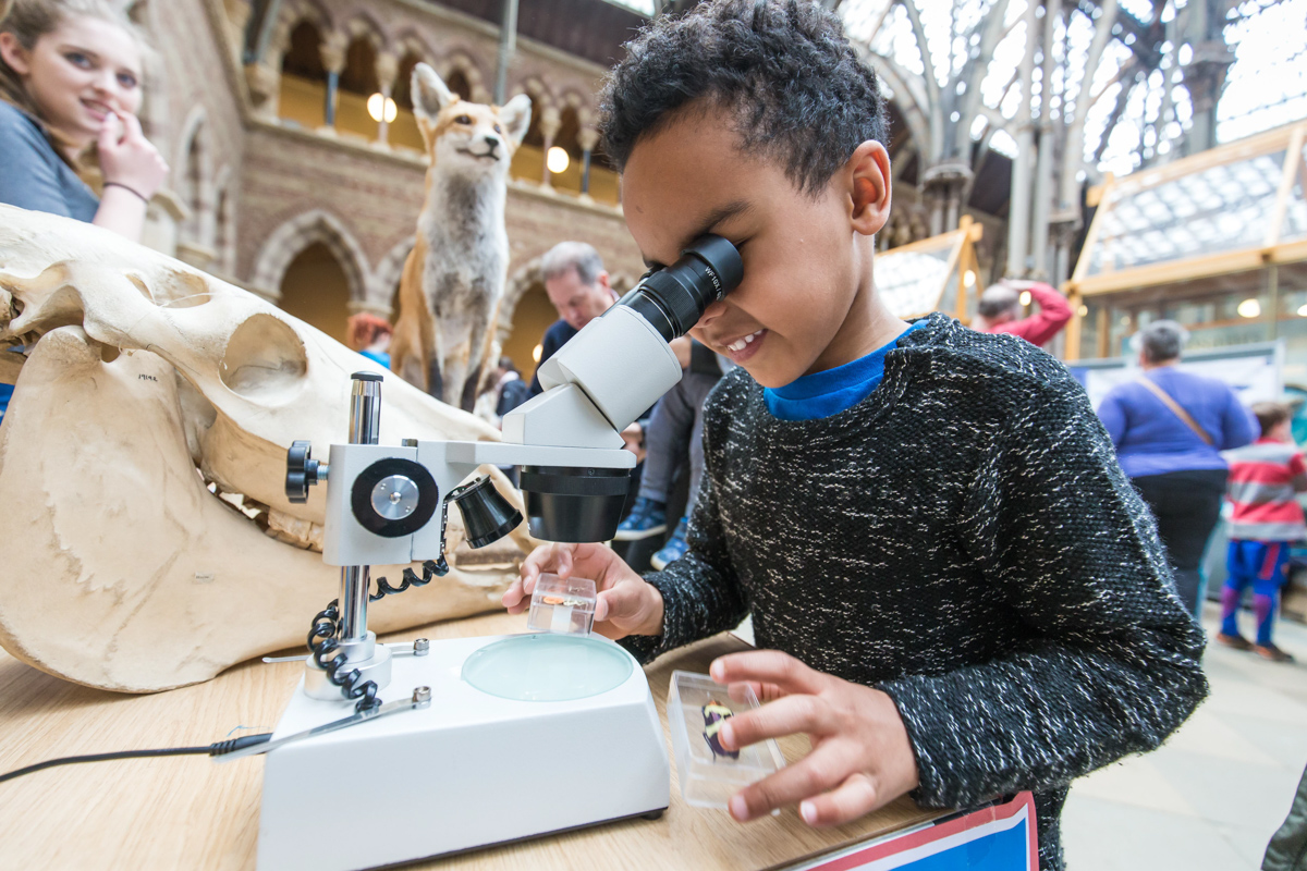 GLAM PCER Toolkit: Getting started | Gardens, Libraries & Museums