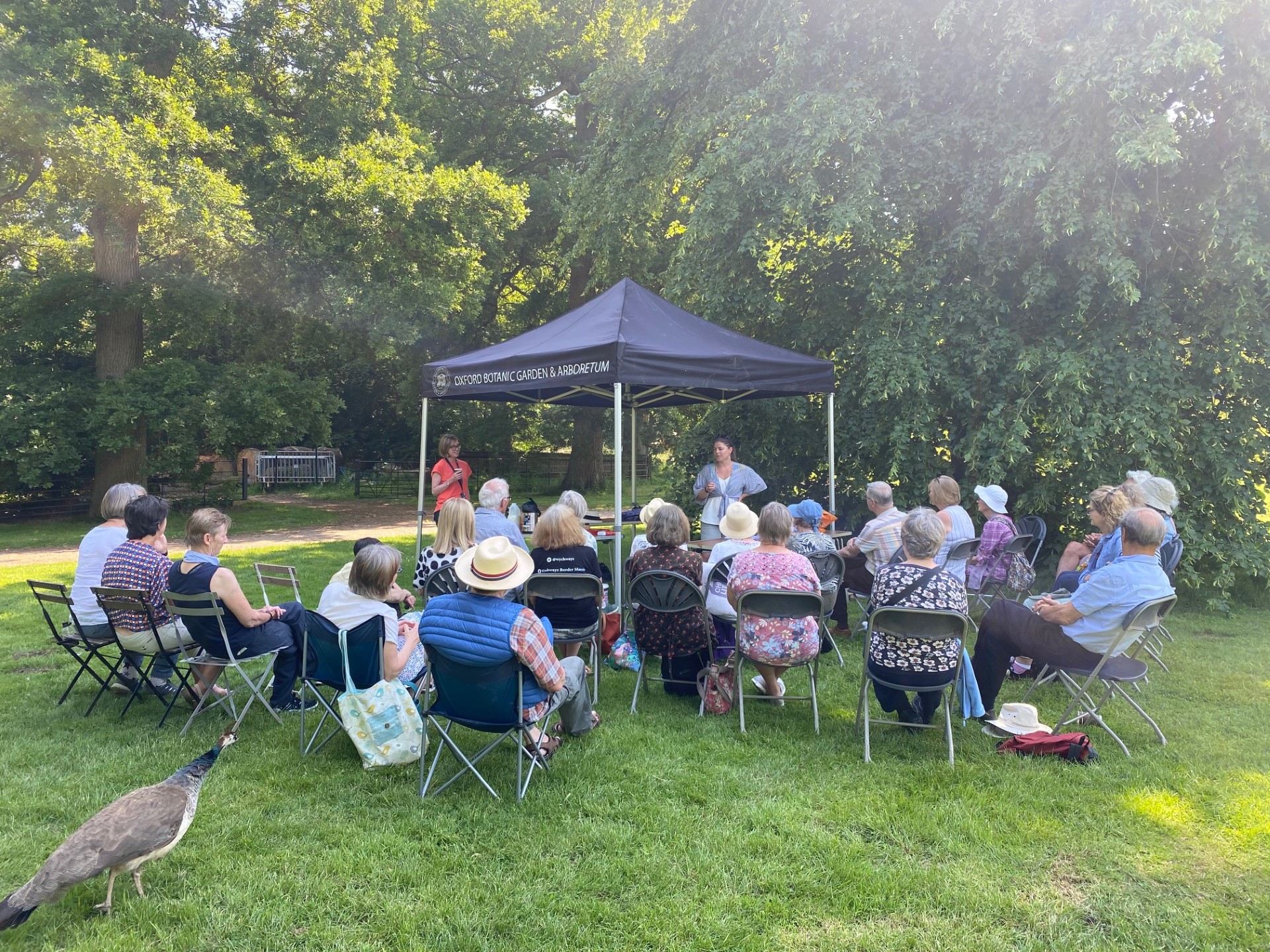 Meet Me Programme for Older Adults | Gardens, Libraries & Museums